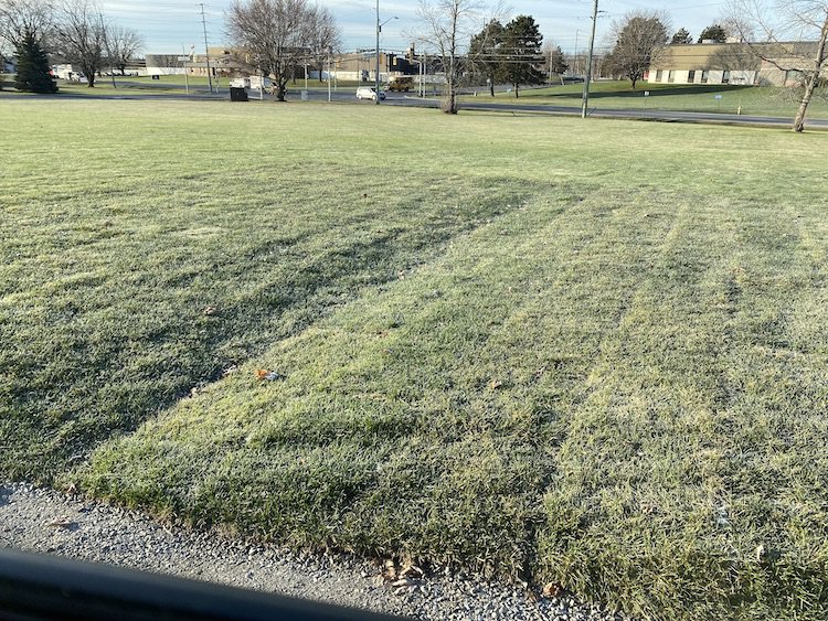 Gallery - Popkie Landscaping